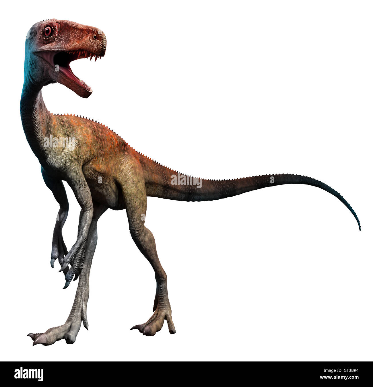 Reptile Theropod High Resolution Stock Photography and Images - Alamy