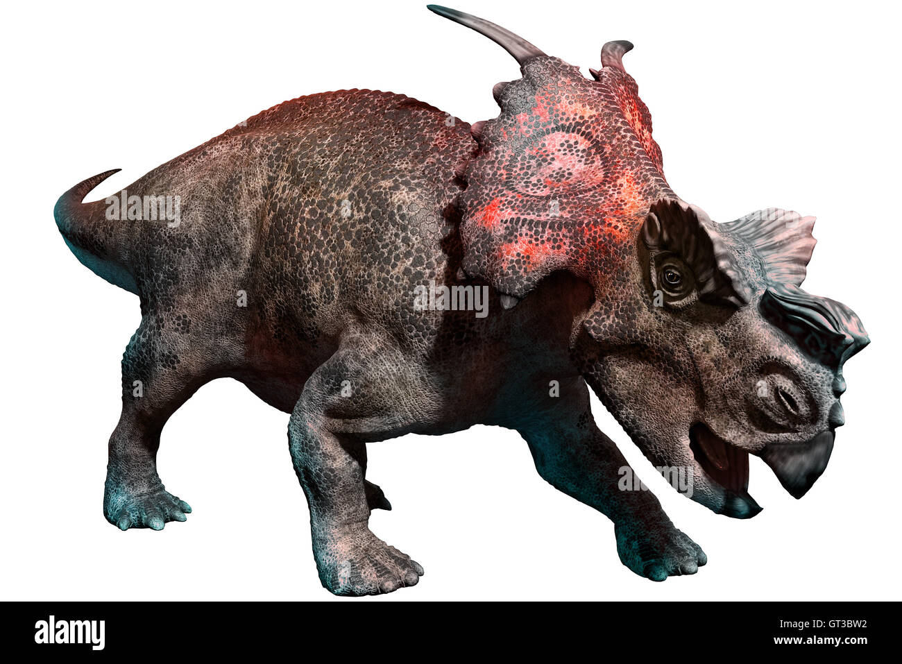 Achelousaurus dinosaur cretaceous hi-res stock photography and images ...
