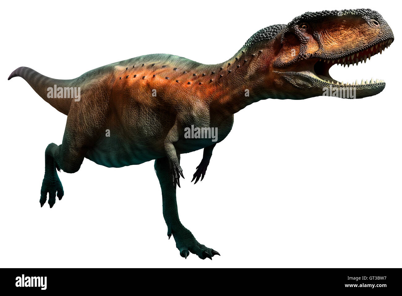 Abelisaurus hi-res stock photography and images - Alamy