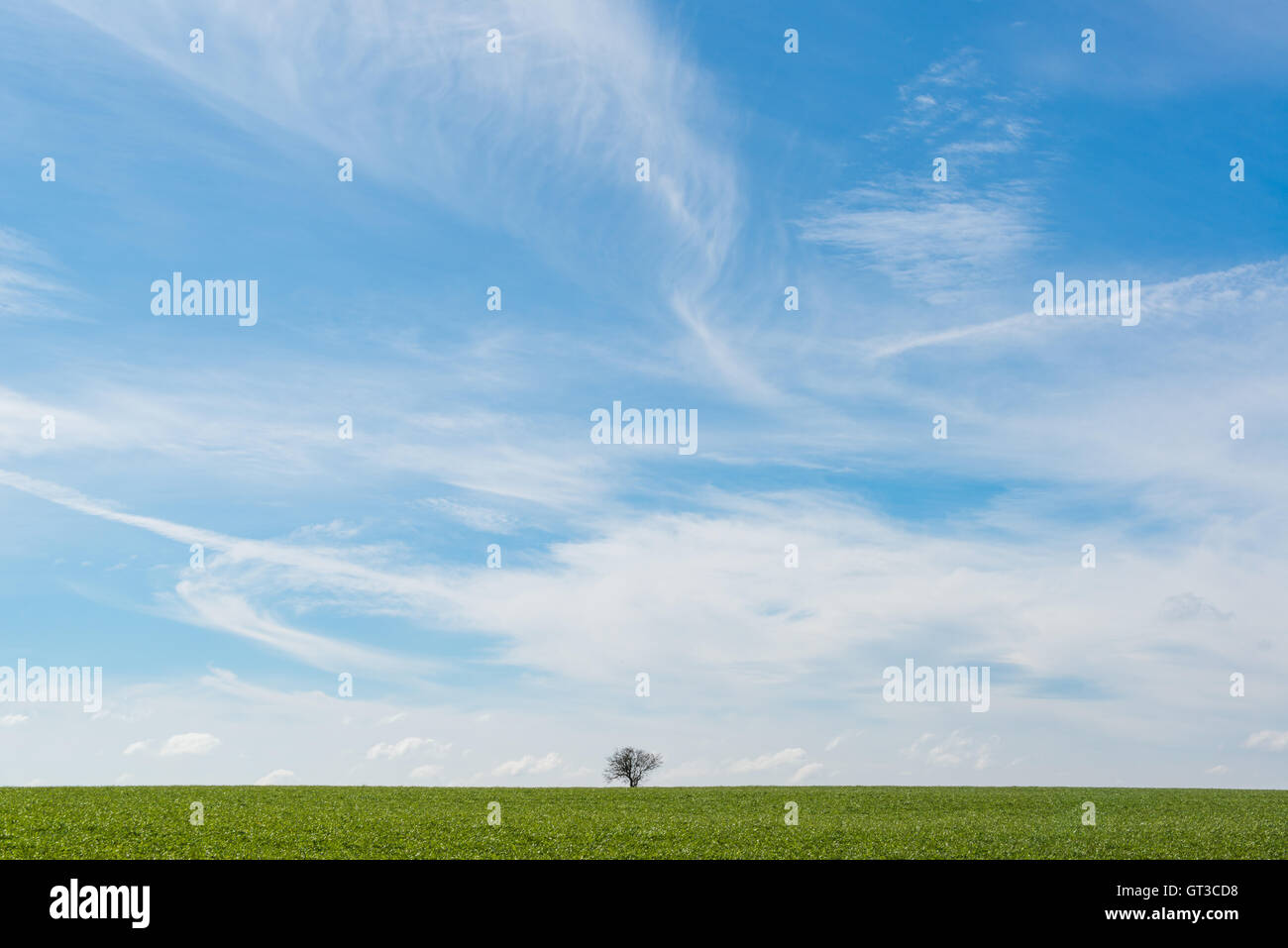 1 one single lone alone solitary hi-res stock photography and images ...