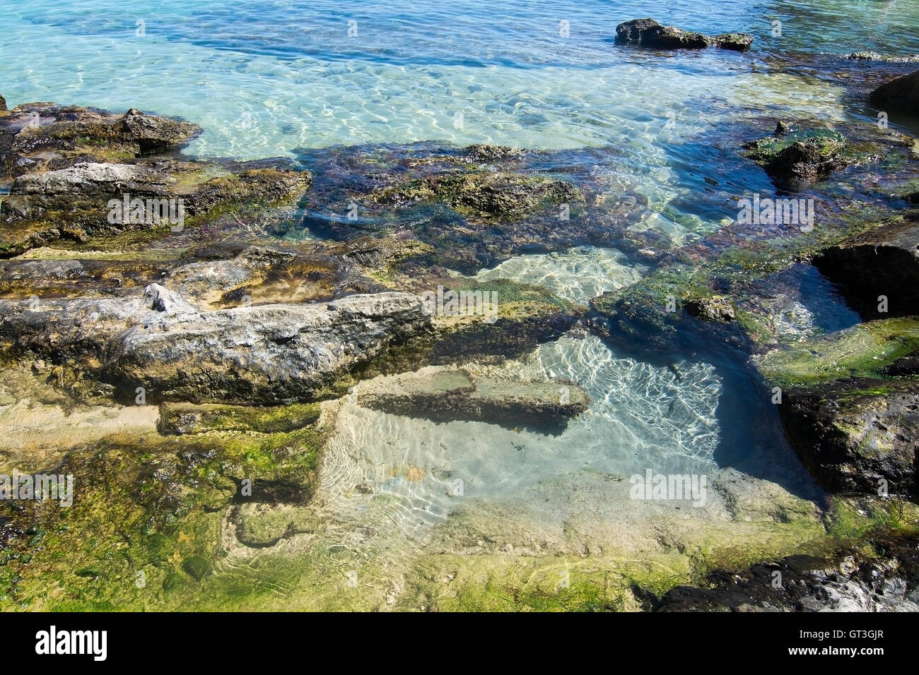 Shallow water on sandy beach with rocks and green seagrass on a sunny ...
