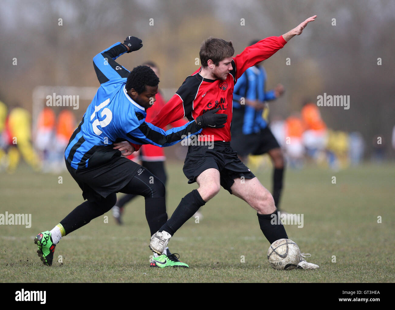 Jack marsh hi-res stock photography and images - Alamy