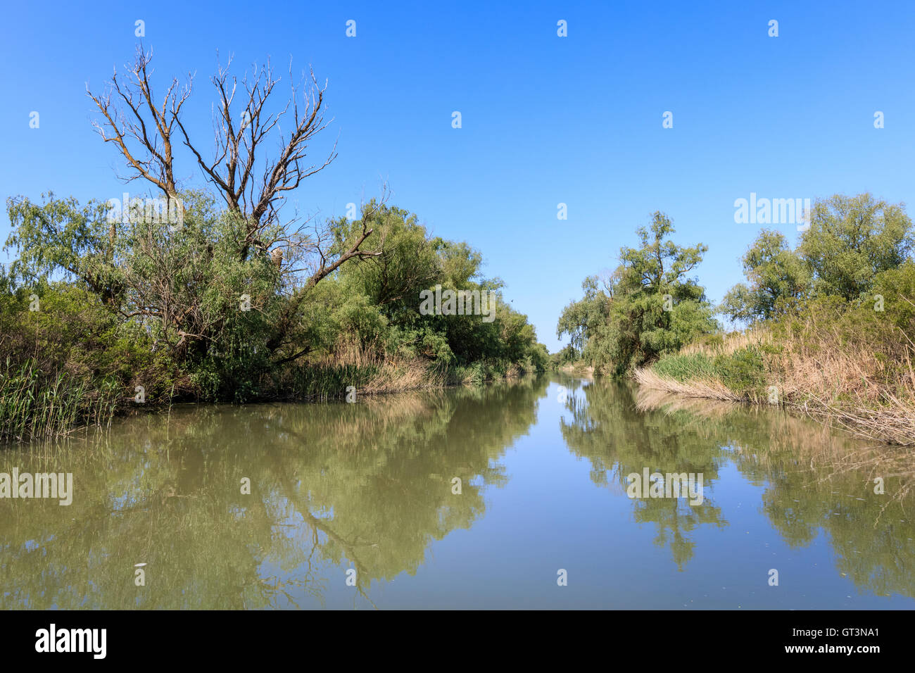 Danube Delta, Romania Stock Photo - Alamy