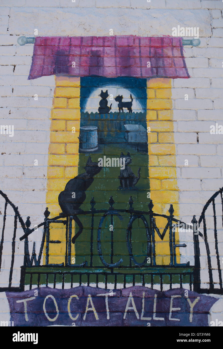 cat alley Manchester New Hampshire NH dean court Stock Photo - Alamy