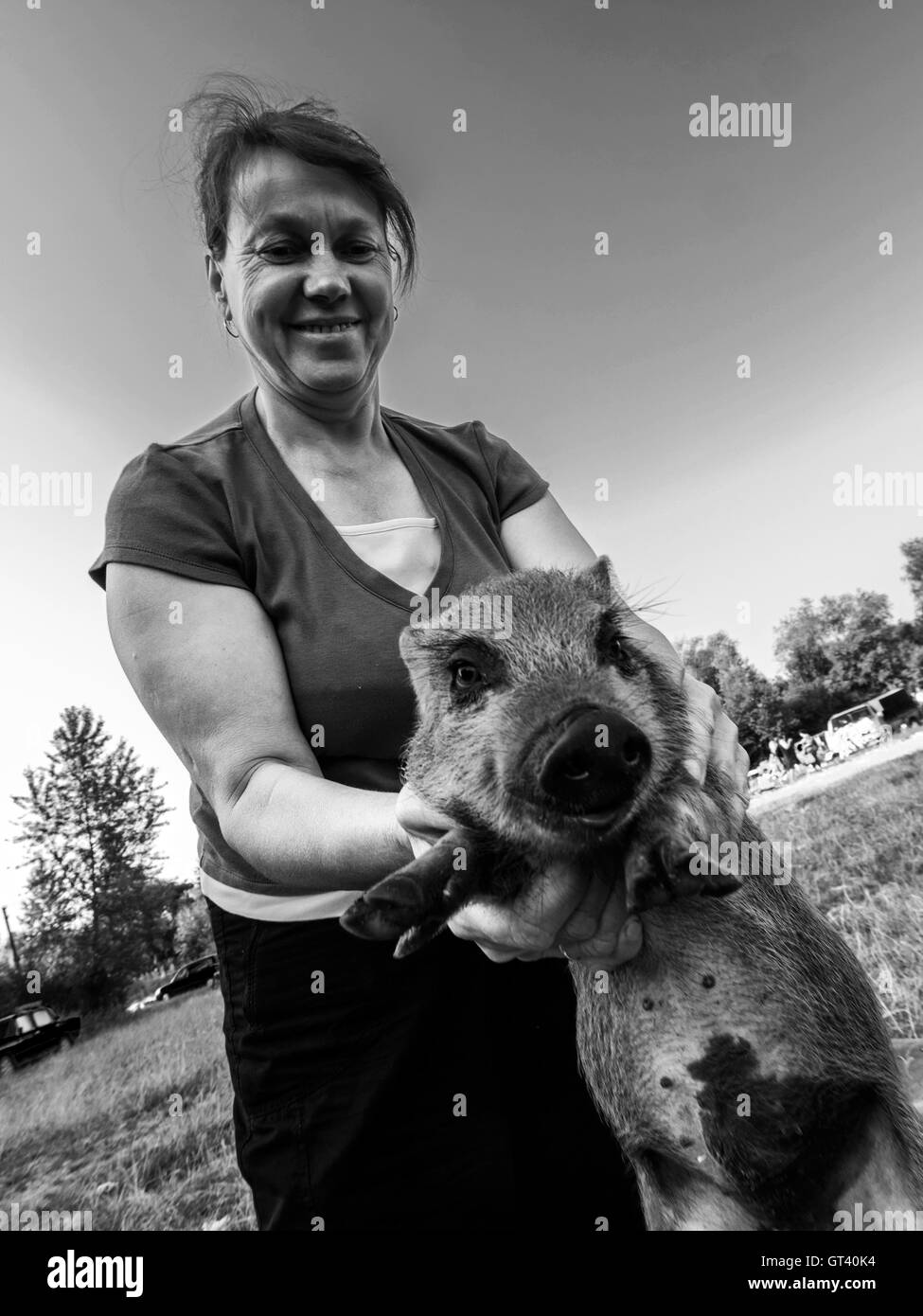 Woman demonstrates the to buyers piglet, born from the domestic pig and ...