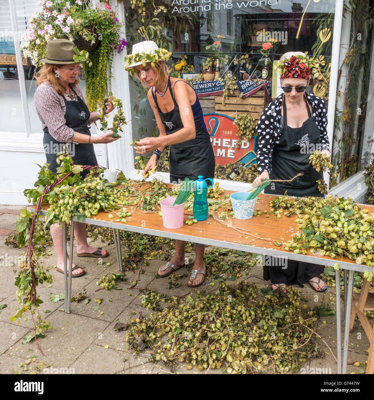 Preparing Hop Bines Faversham Hop Festival Faversham Kent Stock Photo ...