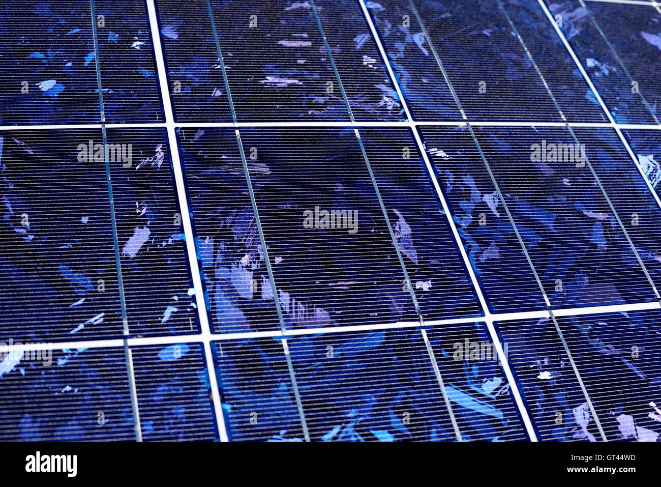detail of a photovoltaic panel for renewable electric production Stock ...