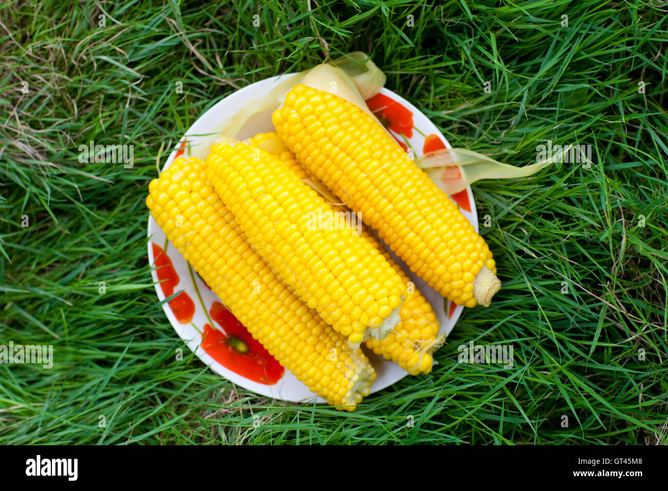 maizes on the plate Stock Photo - Alamy