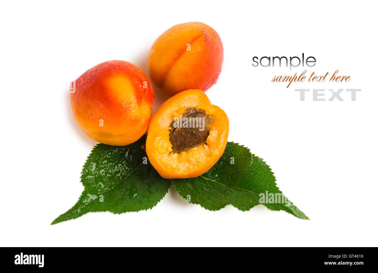 Sweet bright apricots with leaves on a white background Stock Photo - Alamy