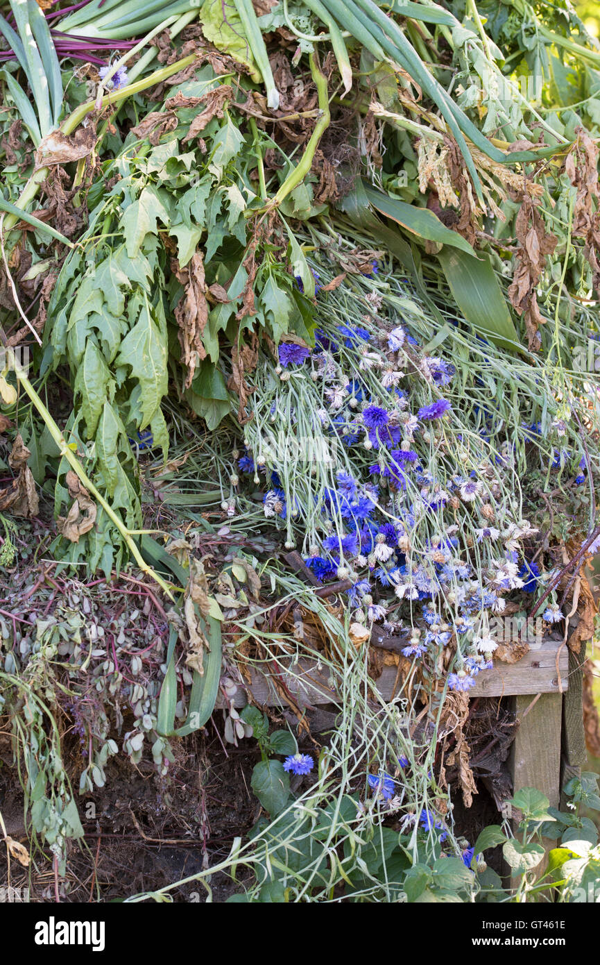 Overflowing Plants High Resolution Stock Photography and Images - Alamy
