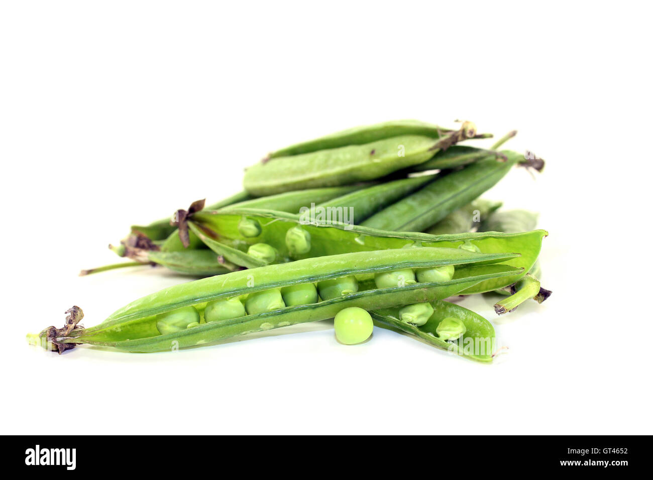 Sweet peas garden hi-res stock photography and images - Alamy