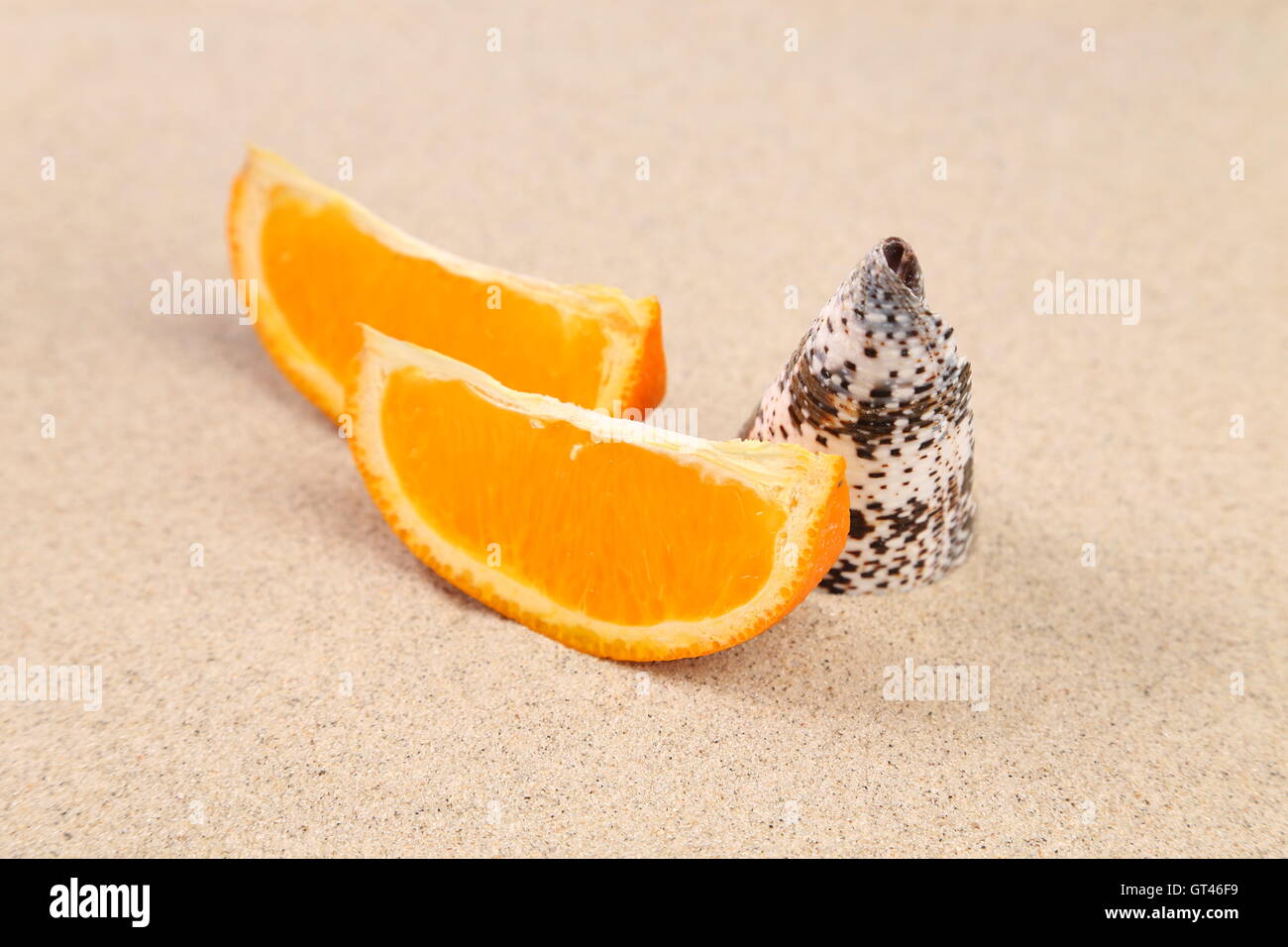 Orange and shell on sand Stock Photo - Alamy