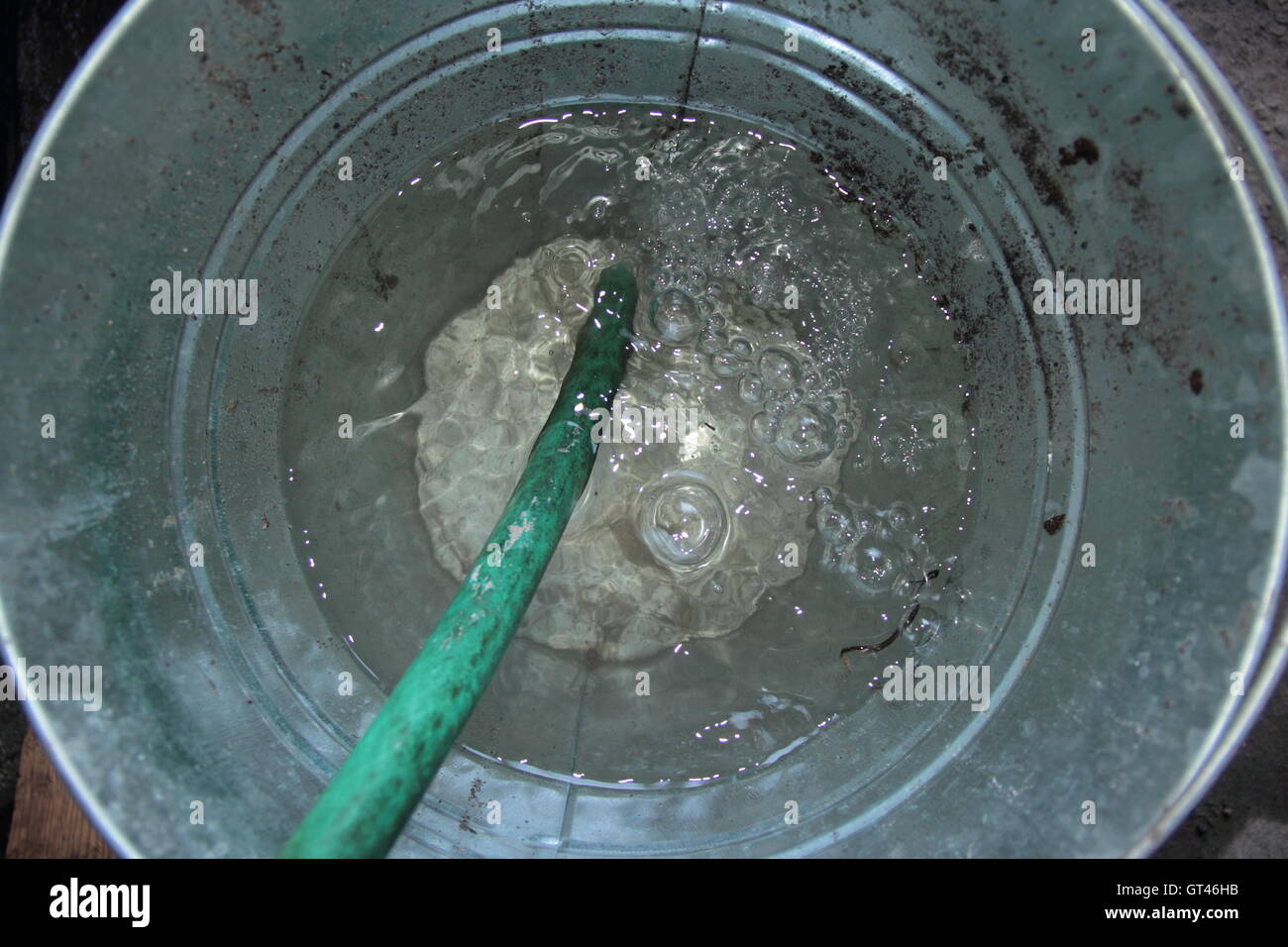 Green bucket full cleaning hi-res stock photography and images - Alamy