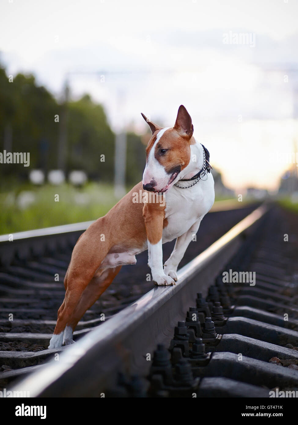 Courage on rails hi-res stock photography and images - Alamy