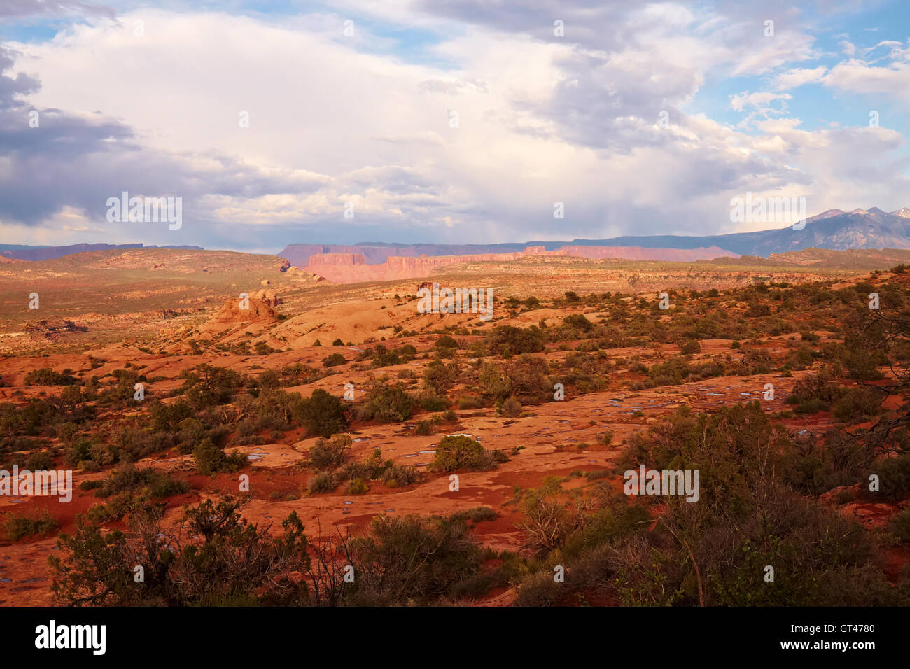 Red Desert at Sunset after the Storm Stock Photo - Alamy