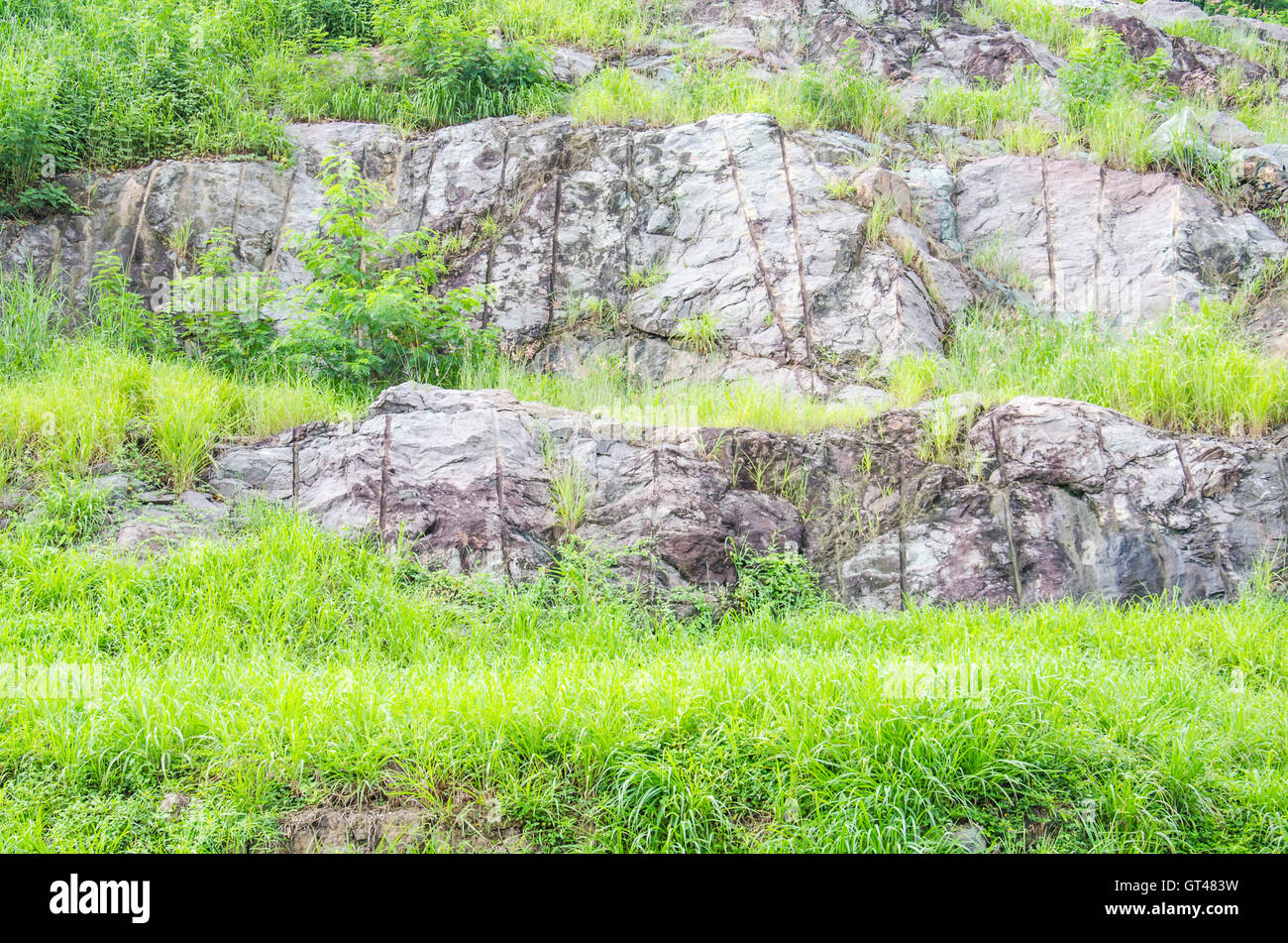 Layers of rock on the cliff Stock Photo - Alamy
