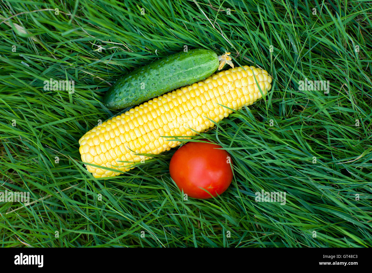 Corn grass grains hi-res stock photography and images - Alamy
