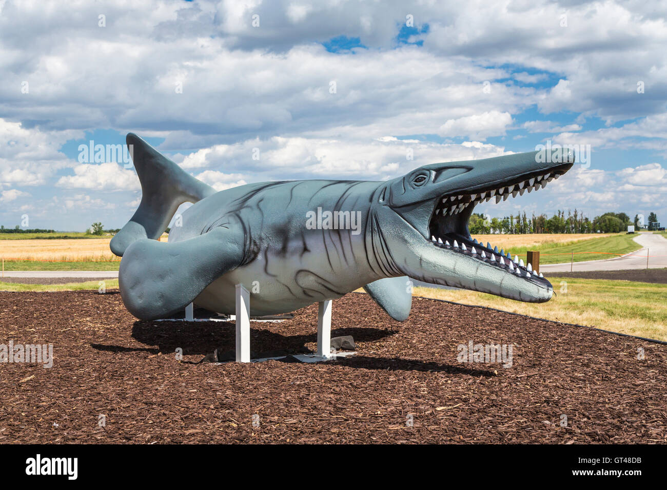 The city sign and replica of mosasaur Bruce east of Morden, Manitoba ...