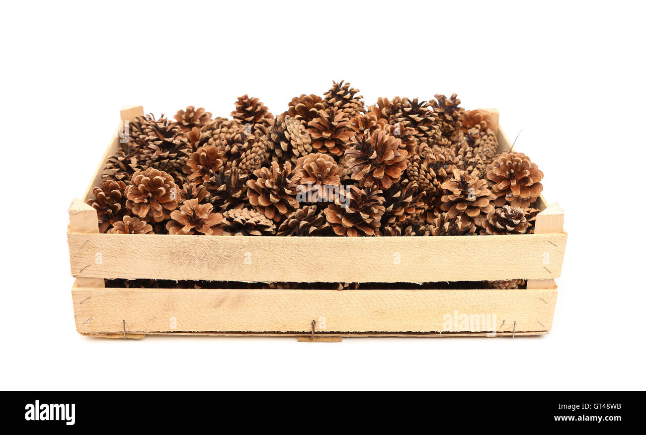 Pine cones in the wooden box Stock Photo - Alamy