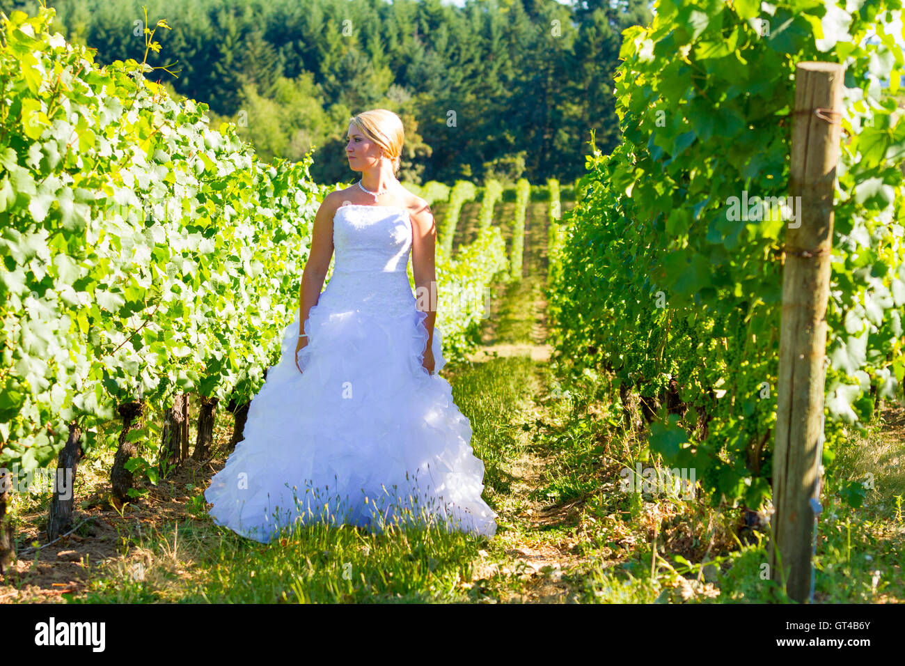 Bride On Her Wedding Day Stock Photo - Alamy