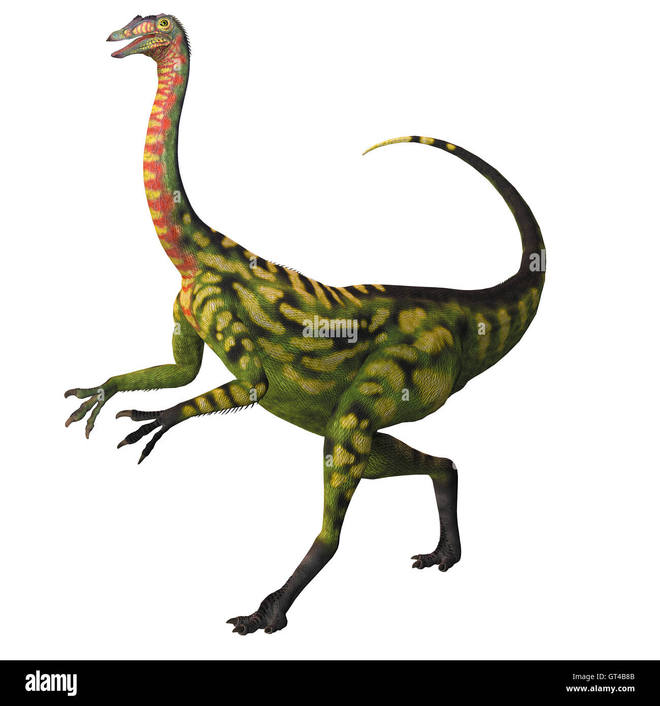 Theropod hi-res stock photography and images - Alamy