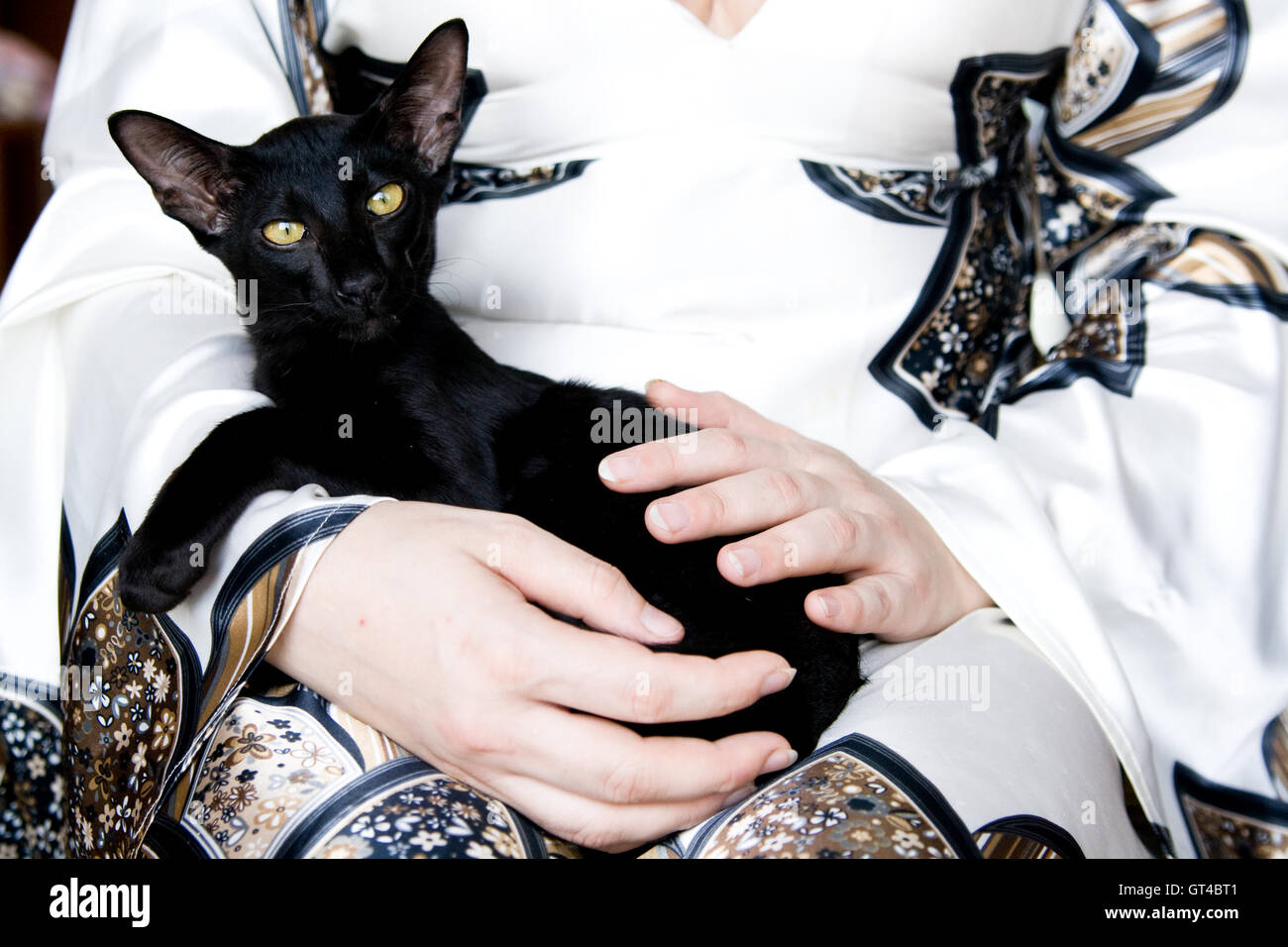 Cat and mistress hi-res stock photography and images - Alamy