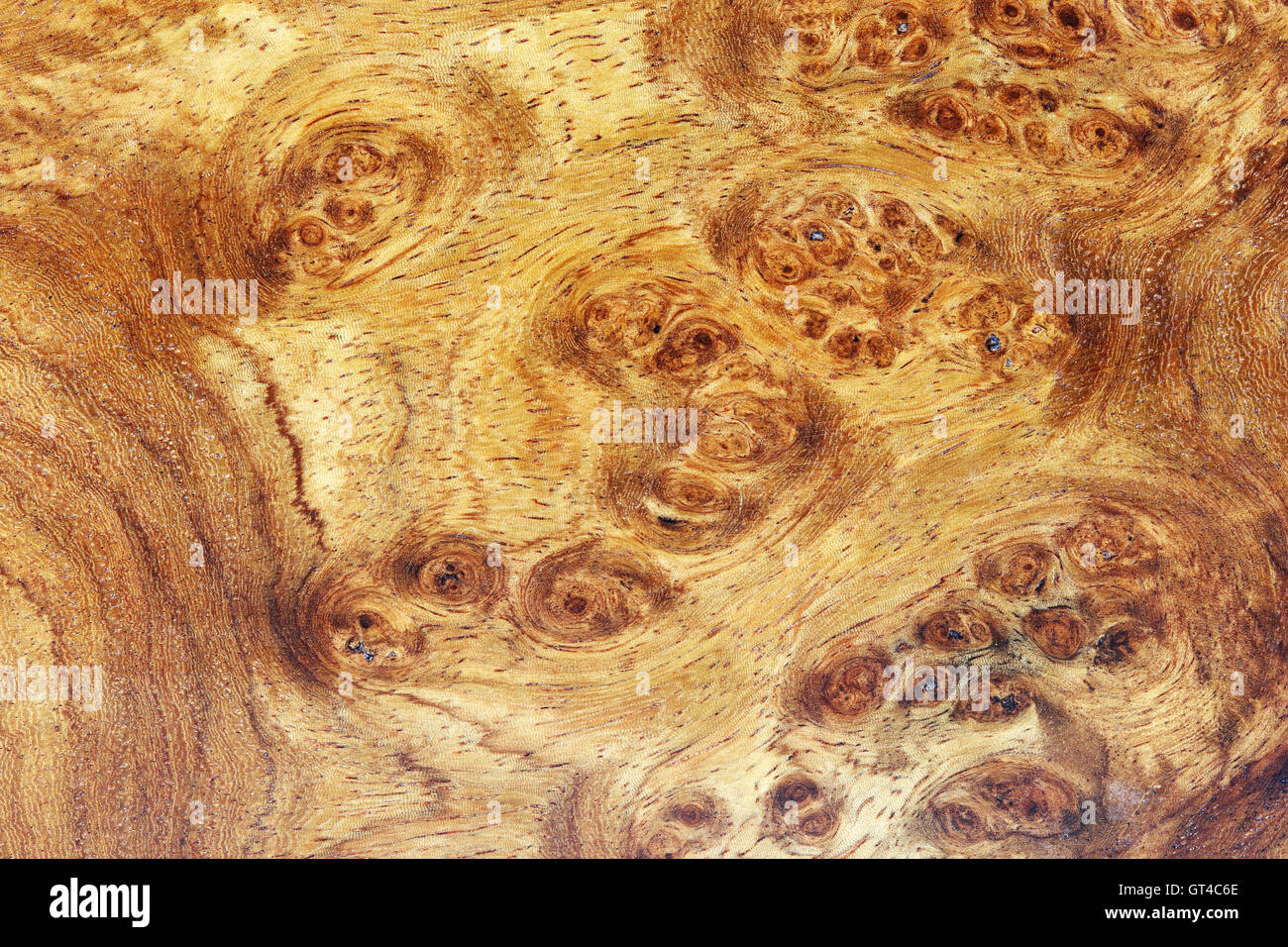 detail of wood texture Stock Photo - Alamy
