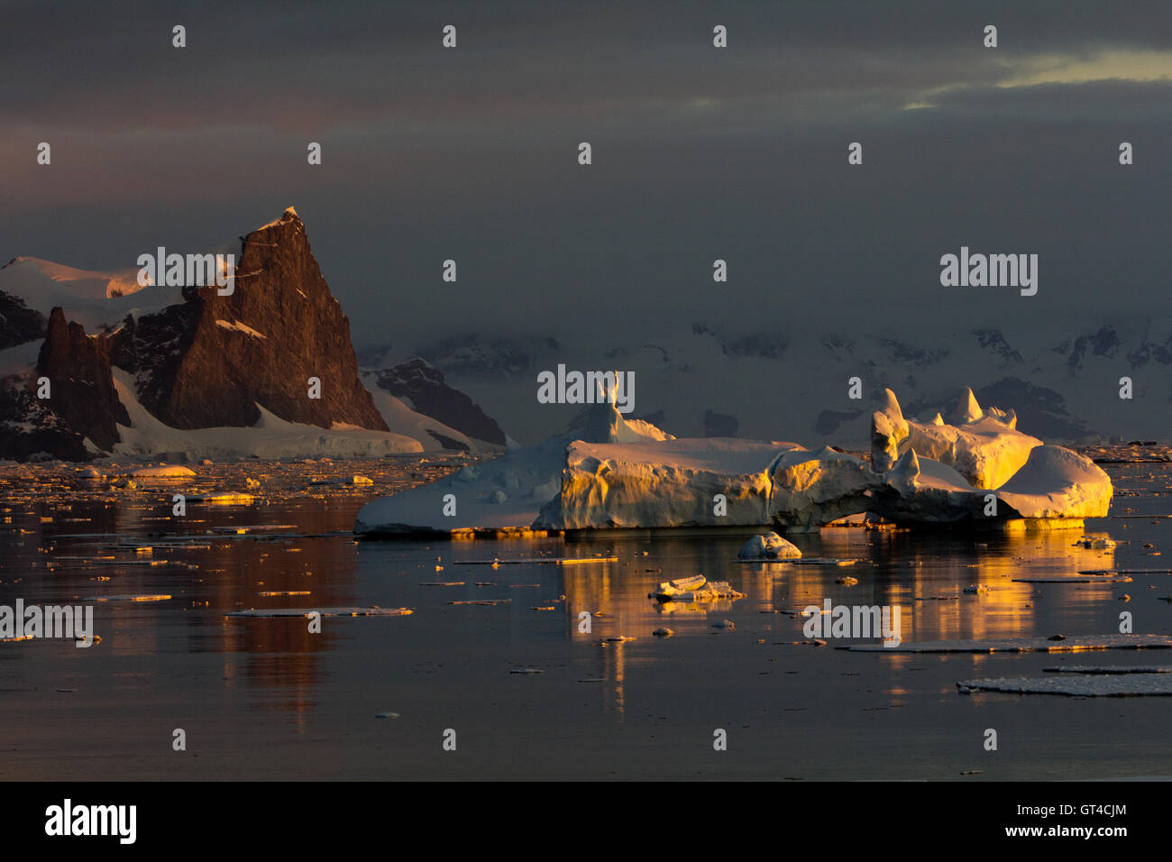 Magic light at sunset on an iceberg in Antarctica Stock Photo - Alamy