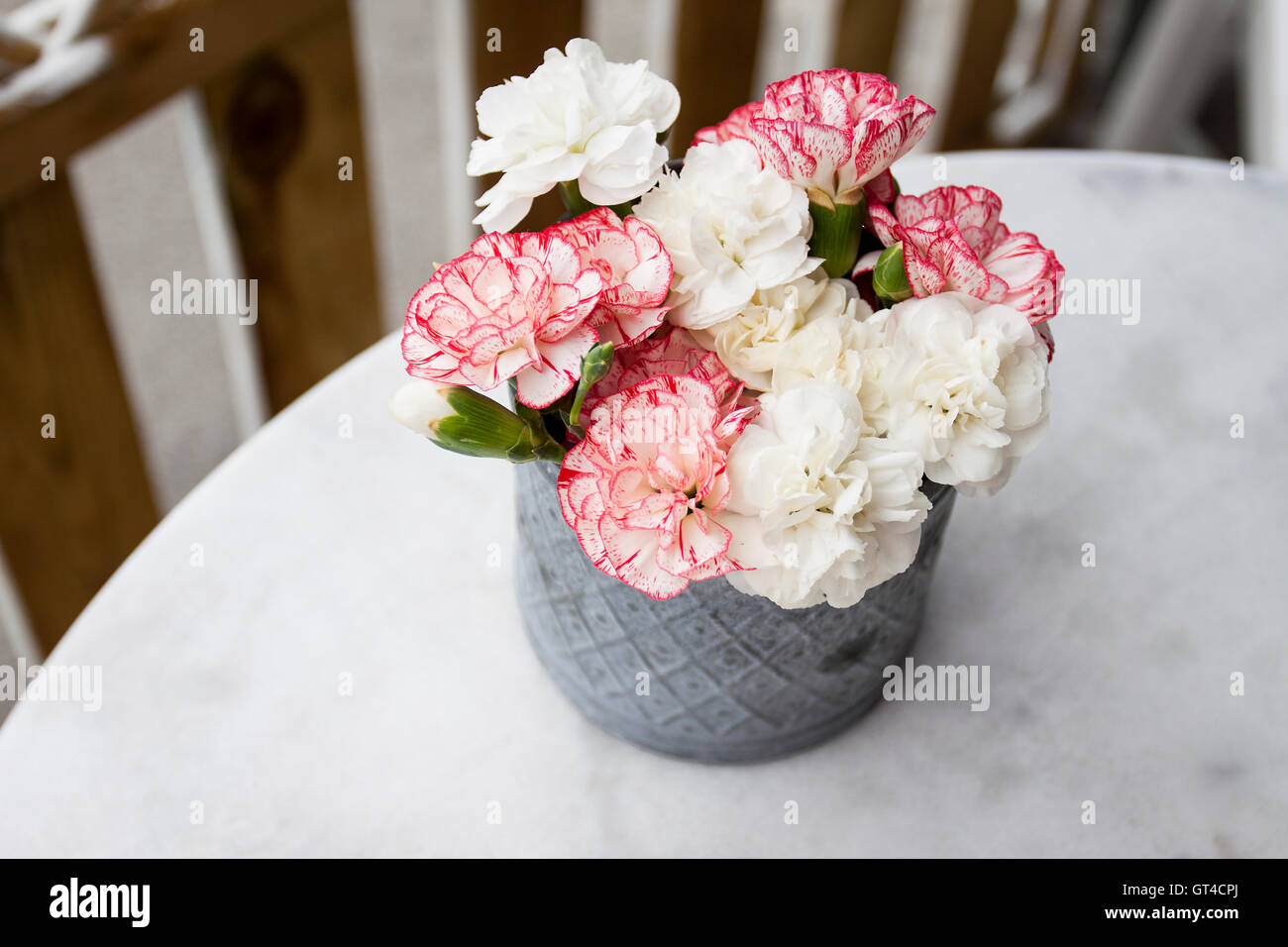 Carnation vase hi-res stock photography and images - Alamy