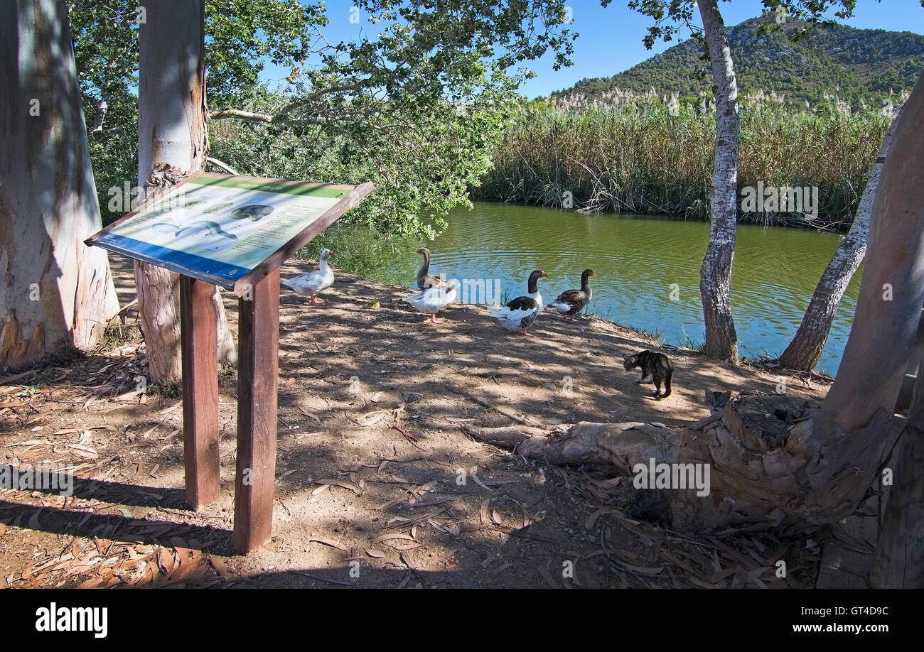 Birds living place hi-res stock photography and images - Alamy