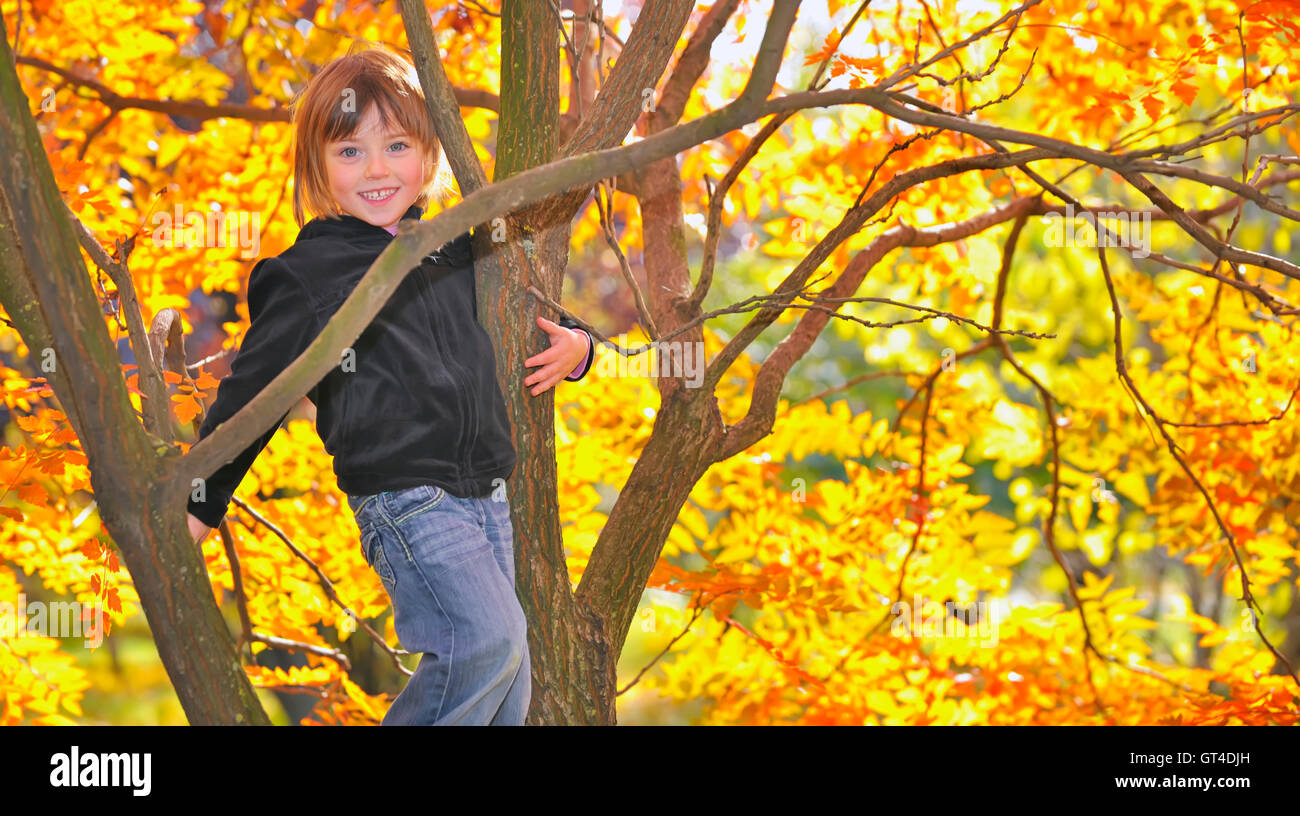 girl hanging from a tree Stock Photo - Alamy