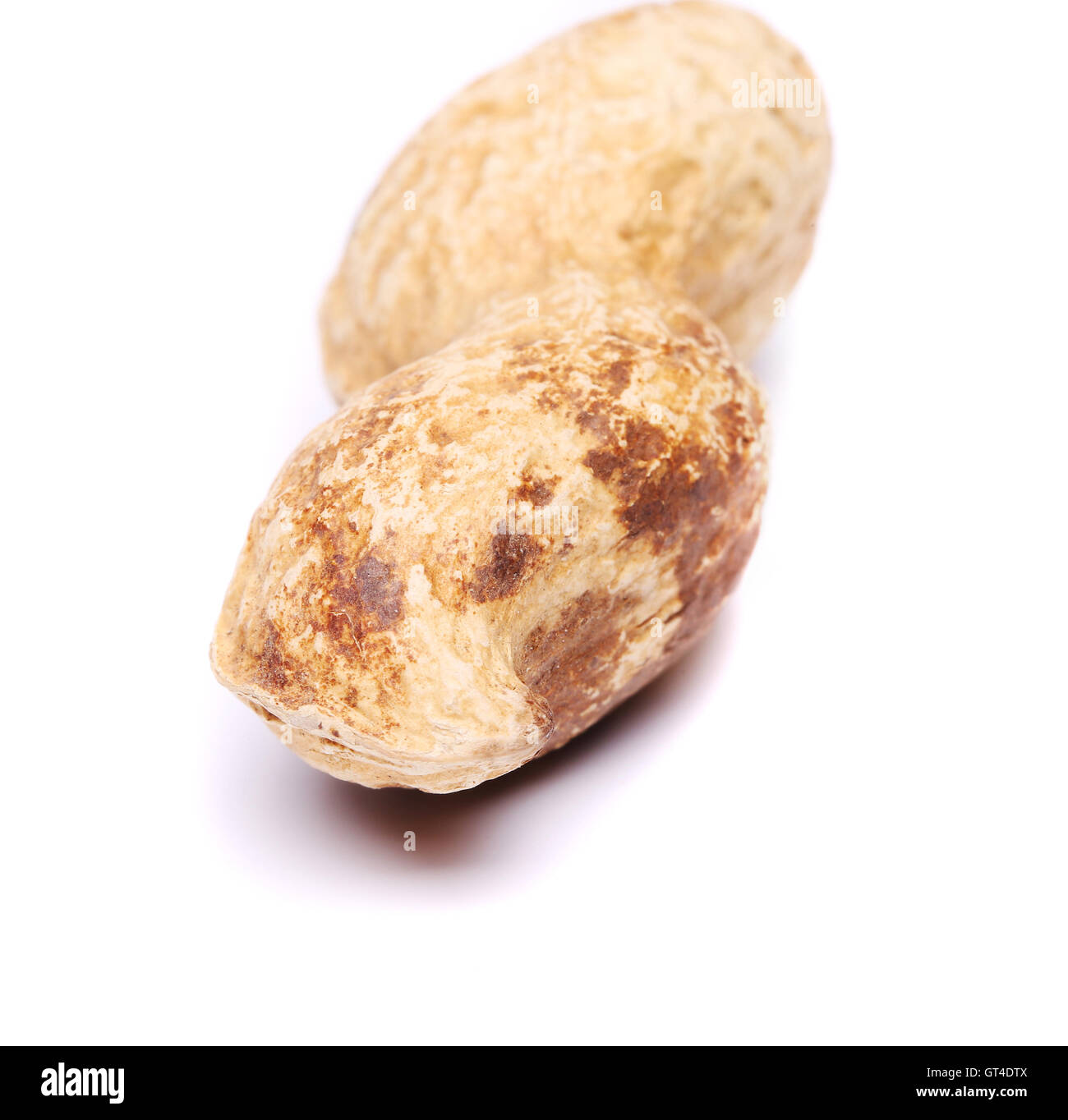 Peanut isolated on a white background close up Stock Photo - Alamy