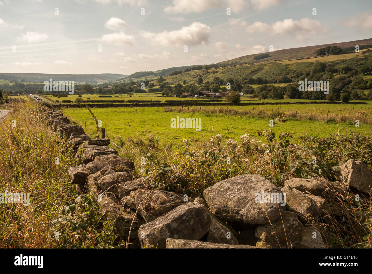 A scenic view of Bilsdale on the North Yorkshire Moors Stock Photo - Alamy