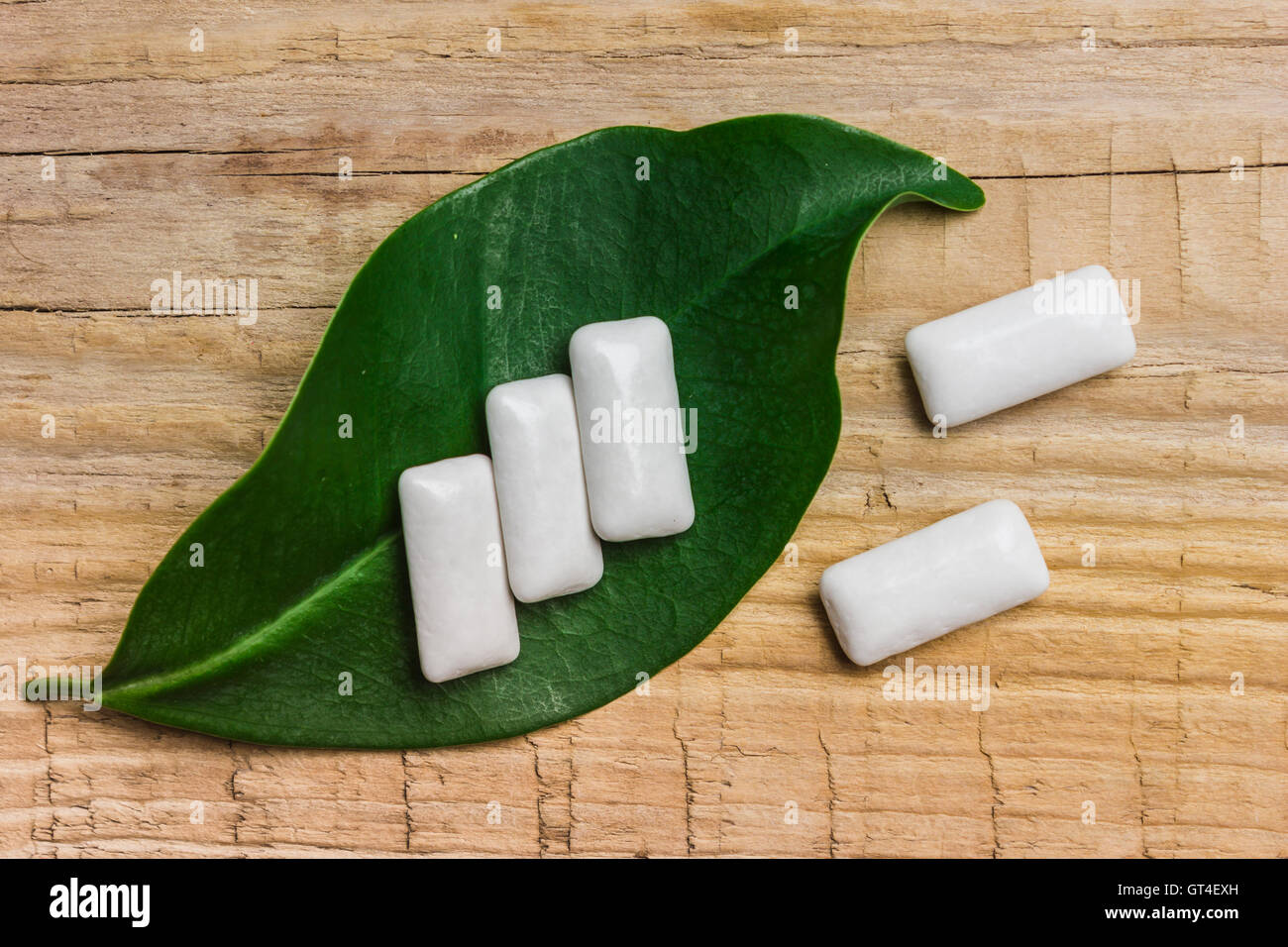 Gum plant hi-res stock photography and images - Alamy