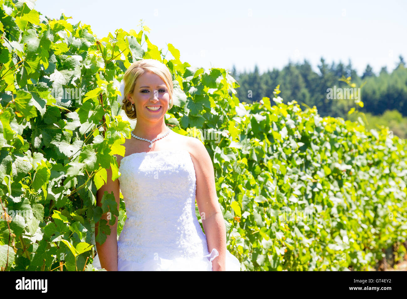Bride On Her Wedding Day Stock Photo - Alamy