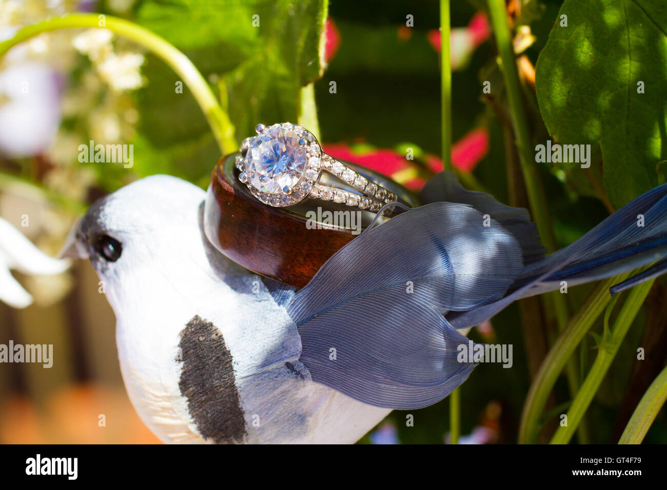 Wedding Rings and Bird Stock Photo - Alamy