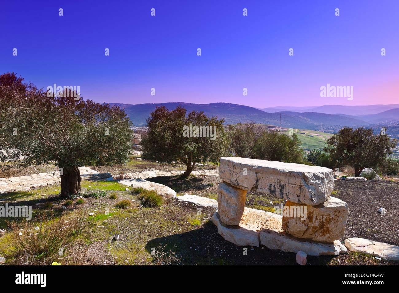 Olive tree sunrise hi-res stock photography and images - Alamy