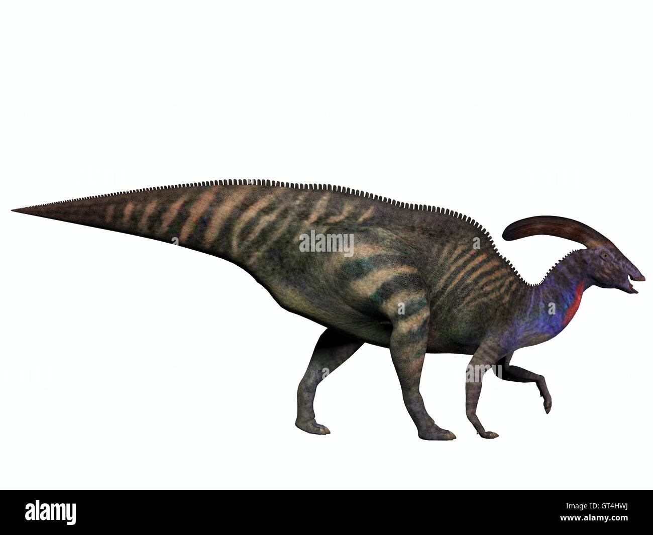 Parasaurolophus hi-res stock photography and images - Alamy