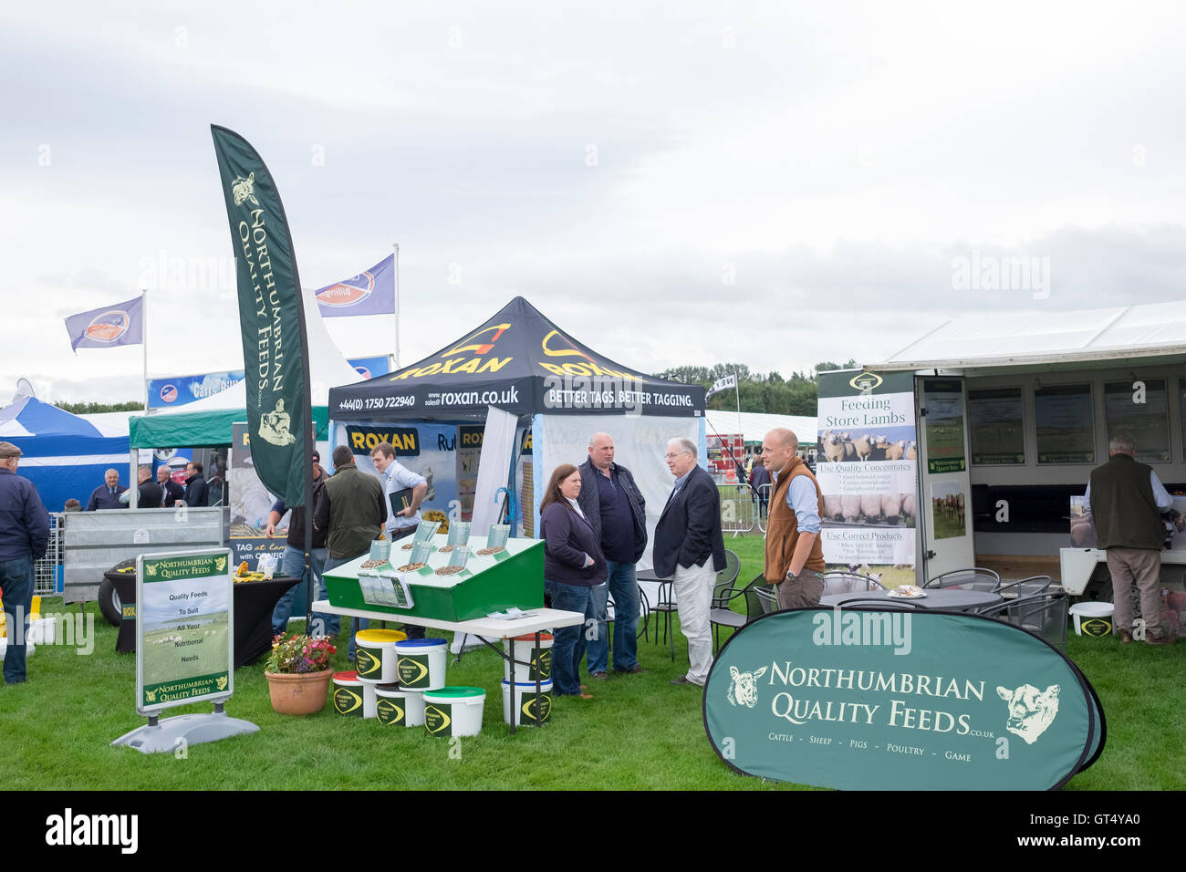 Kelso border union showground springwood hi-res stock photography and ...