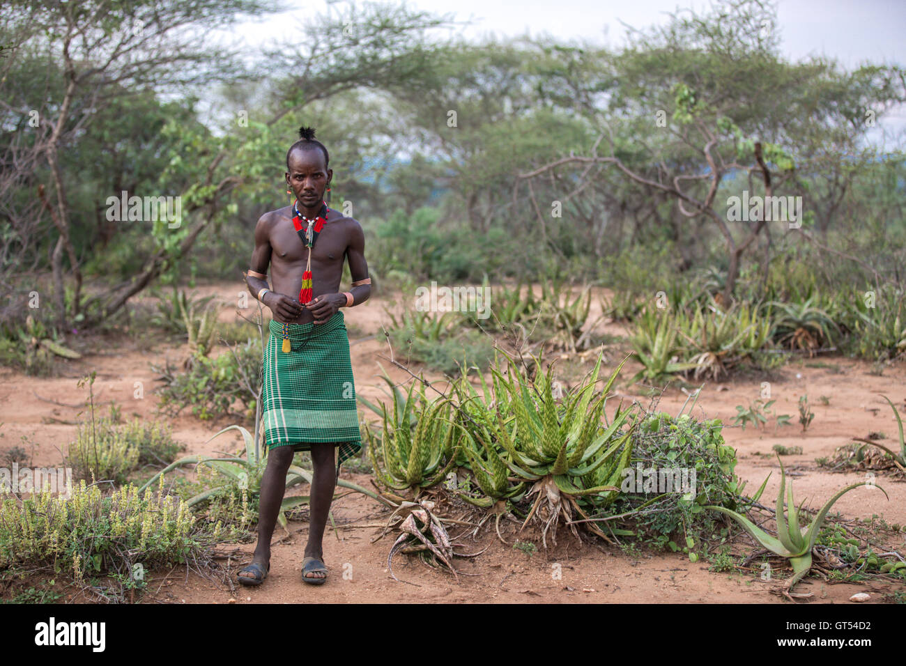 Portrait of Hamer tribe, Turmi, Omo Valley - Ethiopia Stock Photo - Alamy