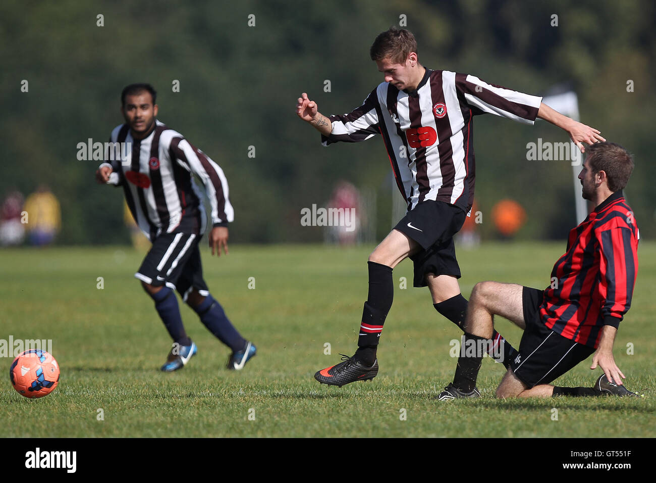 Bow Badgers (black & white) vs South London Sharks - Hackney & Leyton ...