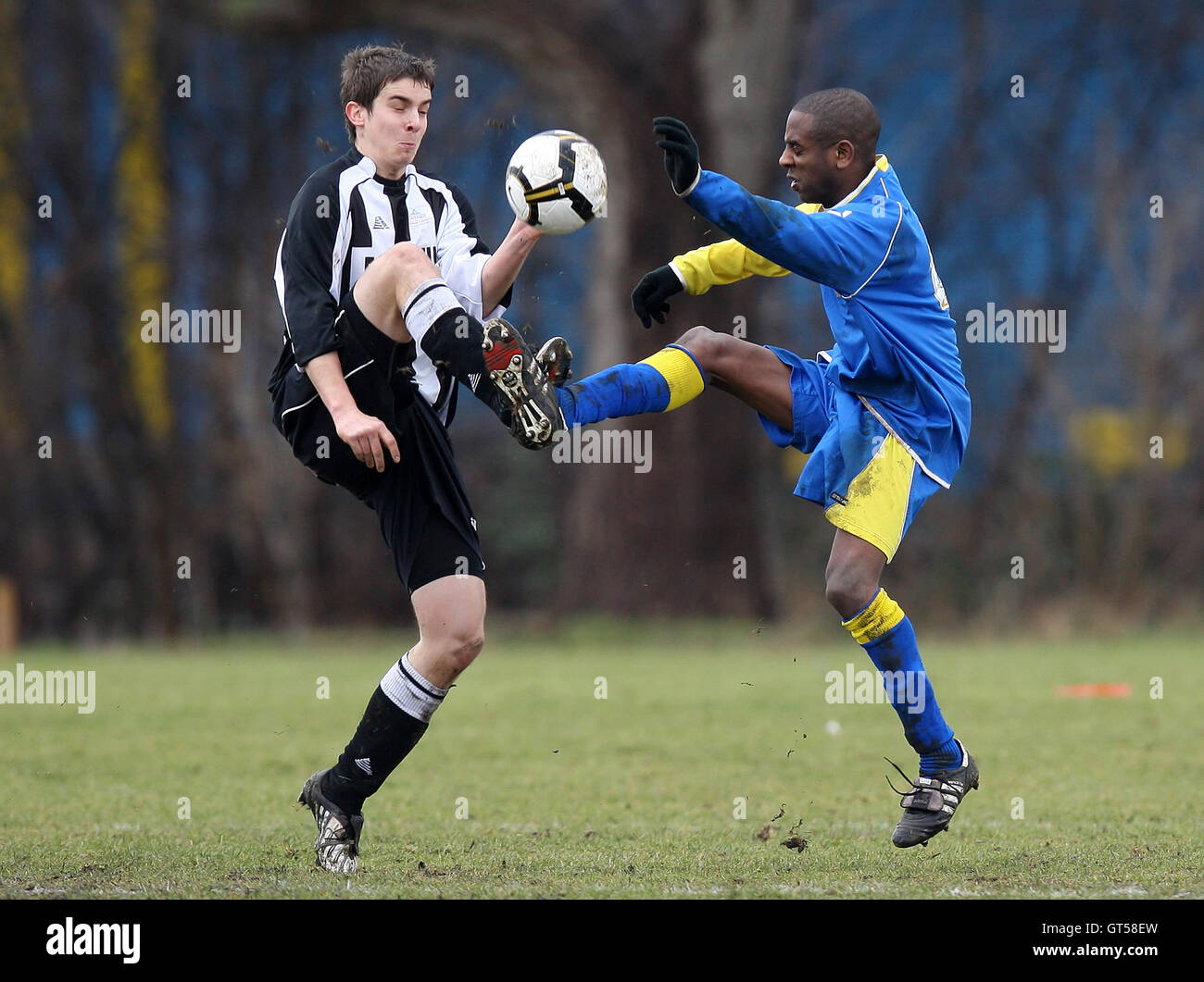 Metwin hi-res stock photography and images - Alamy