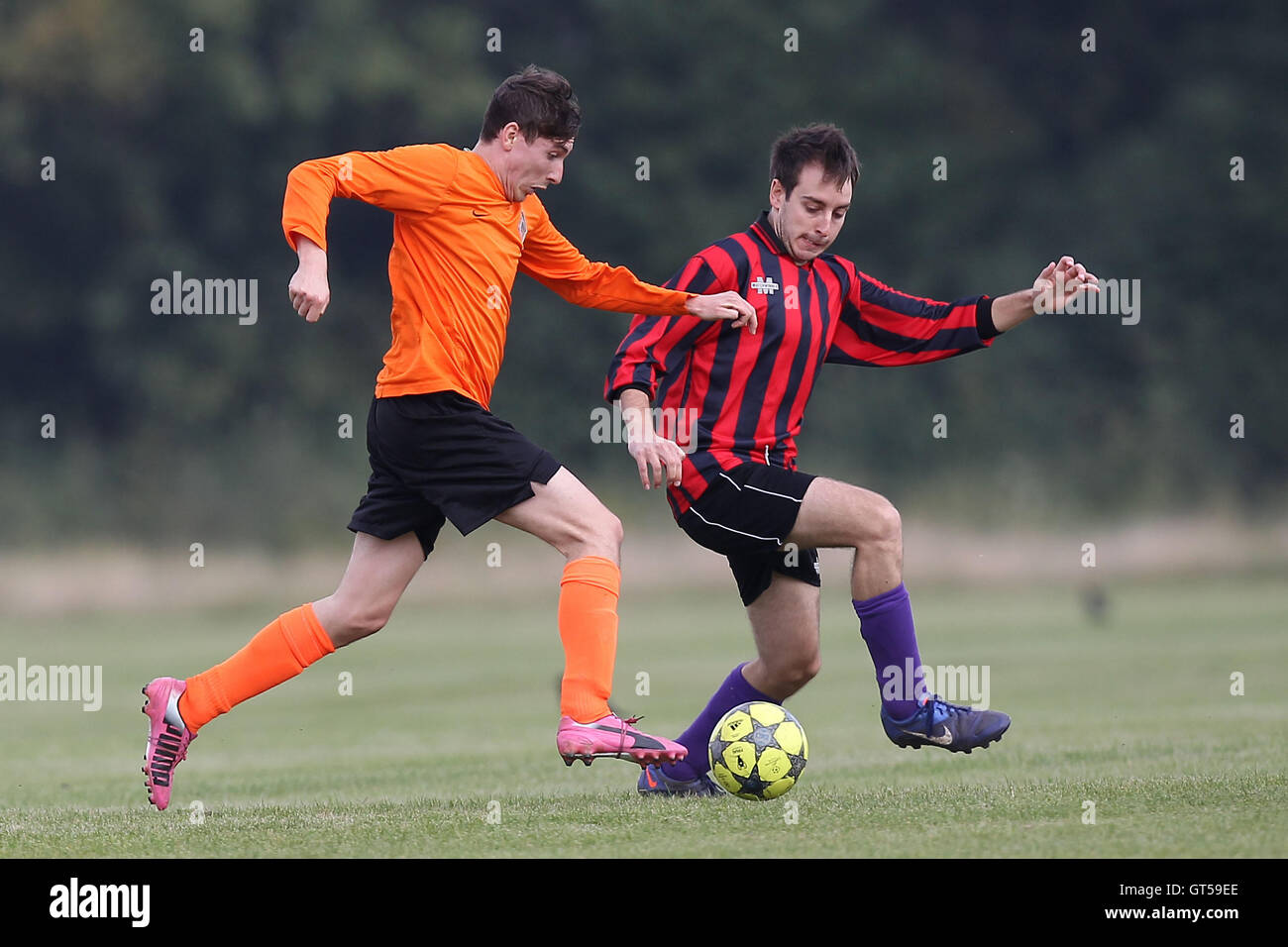 Dynamo Gobbler (orange) vs South London Sharks - Hackney & Leyton ...