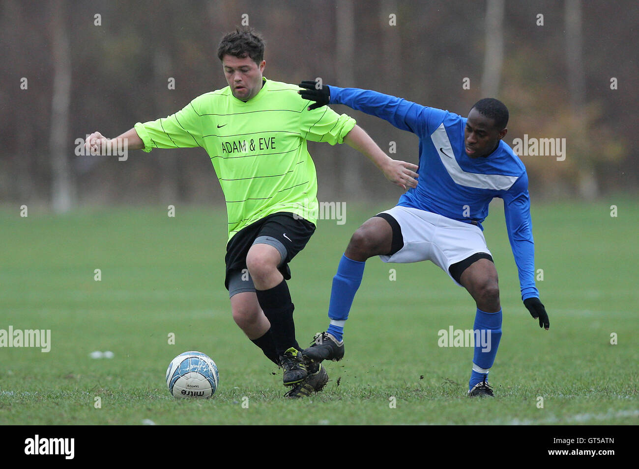 Jack barlett hi-res stock photography and images - Alamy