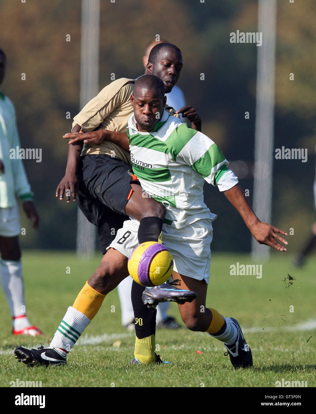 Maynell High Resolution Stock Photography and Images - Alamy