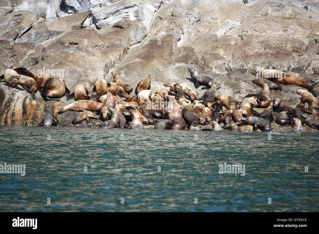 Benjamin island hi-res stock photography and images - Alamy