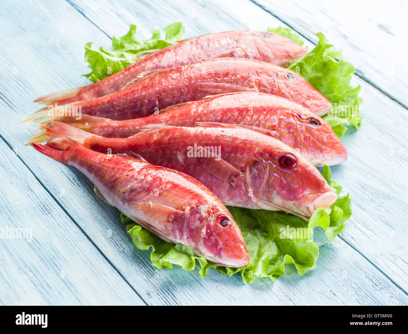 Red Mullets High Resolution Stock Photography and Images - Alamy