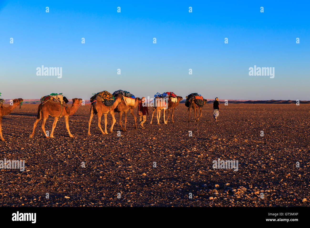 caravan in the desert Stock Photo - Alamy