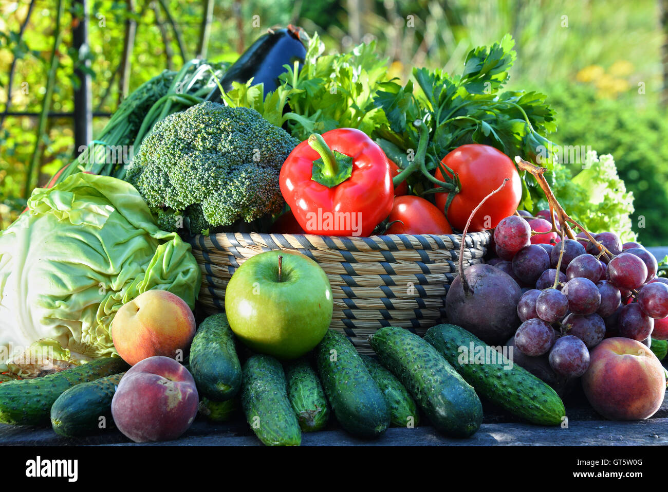 Variety of fresh organic vegetables and fruits in the garden. Balanced ...