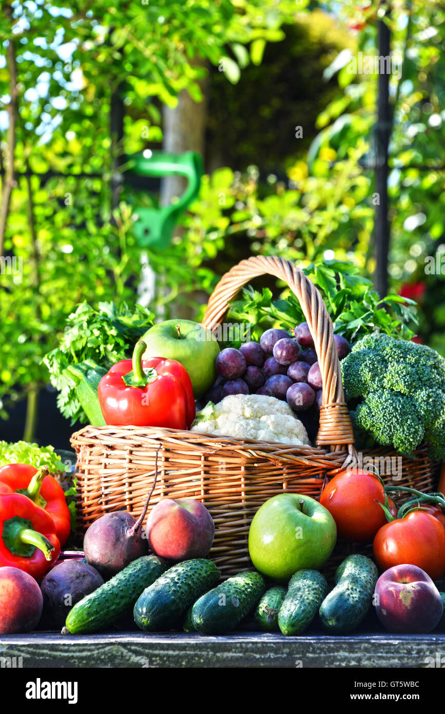 Variety of fresh organic vegetables and fruits in the garden. Balanced ...